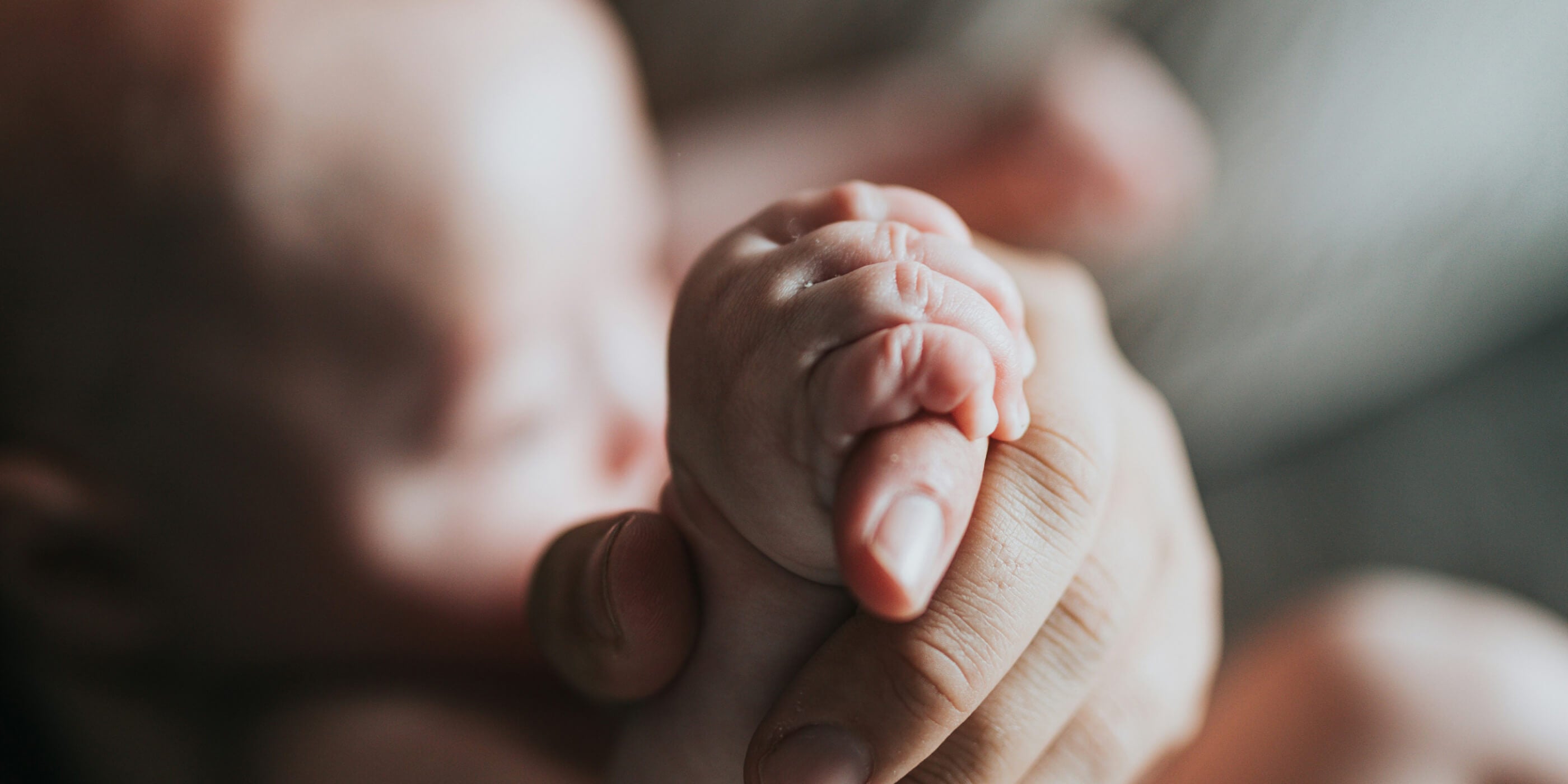 Landing – Cryocell